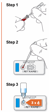WITNESS Lepto | Zoetis CA