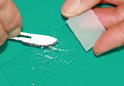 Superficial Skin Scraping | Zoetis CA